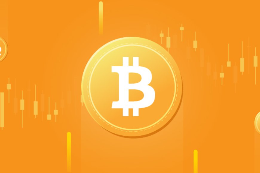 Why Bitcoin Price Keep Rising? Bitcoin Explained 2024 - Coinccino